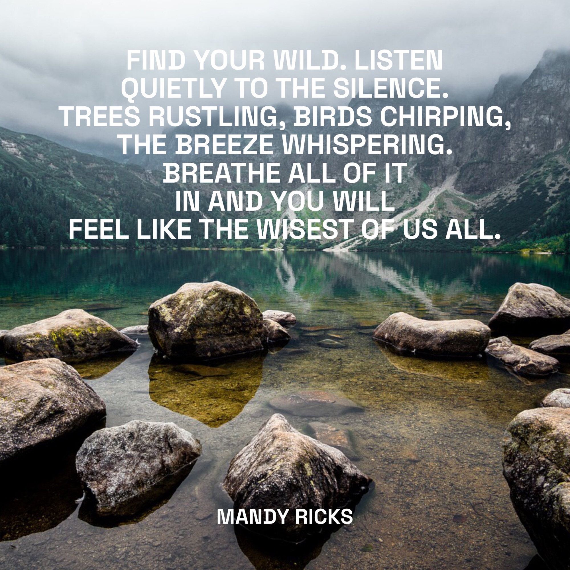 Find the Wild – Mandy Ricks
